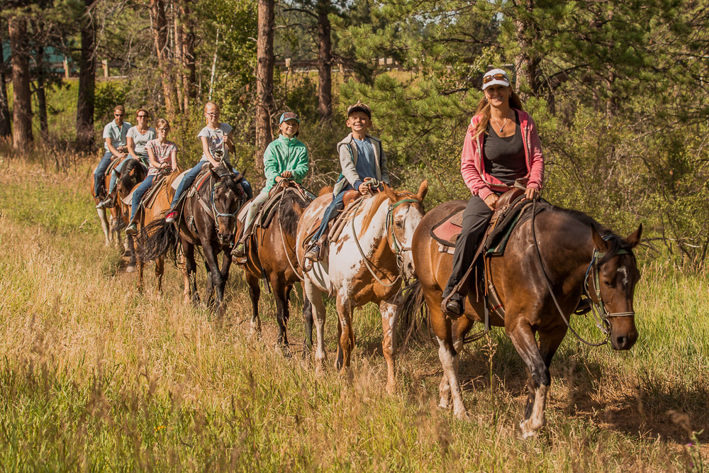 Trusty Trail Horses