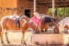 Horseback Riding & Dinner Show at Mt. Rushmore |Horseback Riding Trail ...