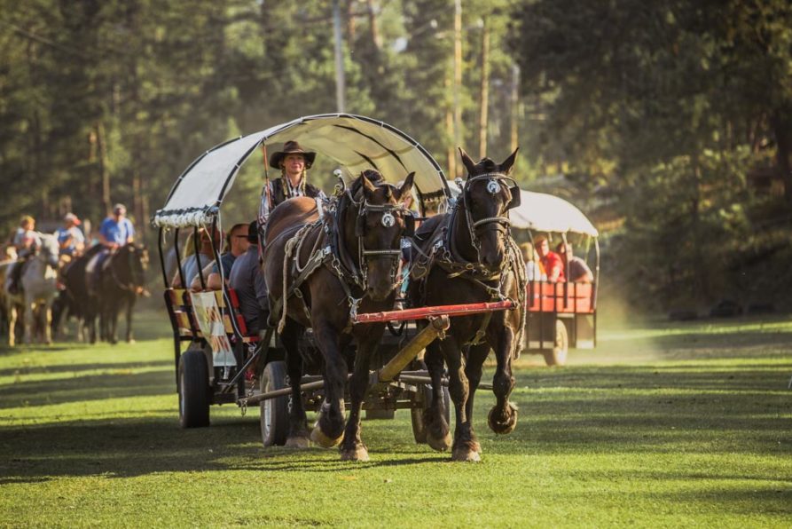 Chuck Wagon Dinner Show
