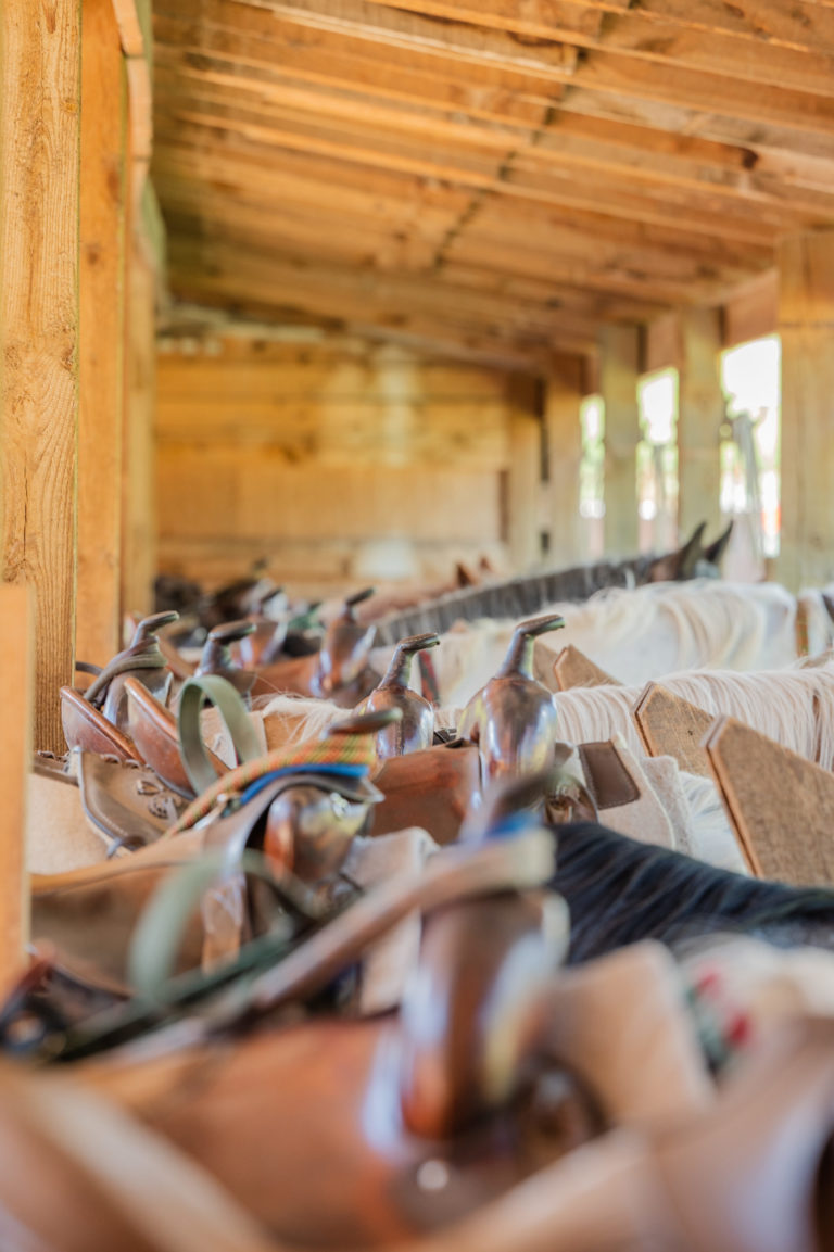 Horseback Riding & Chuck Wagon Dinner Show near Mt. Rushmore | Home ...